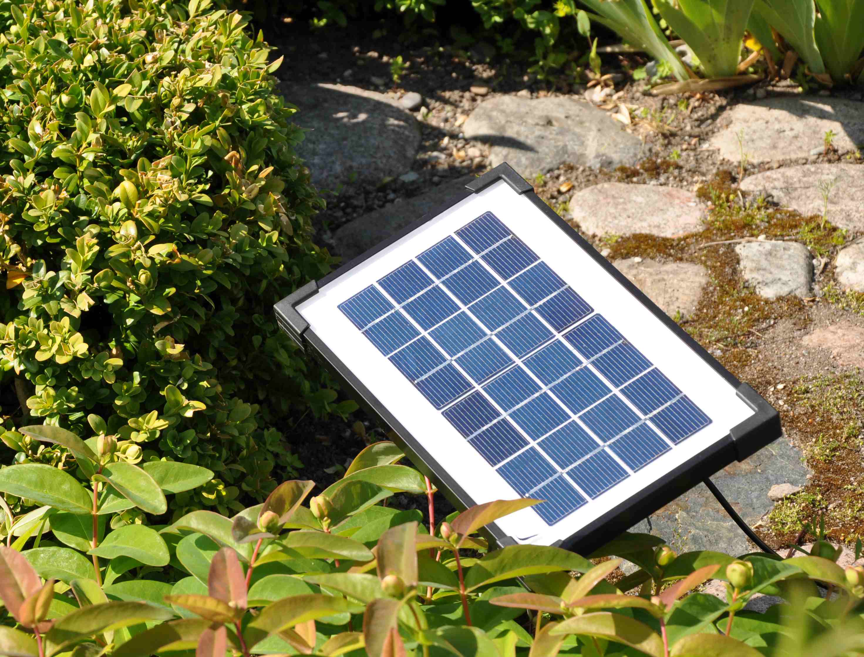 solfångande celler – Greenspire Trädgårdskonsult